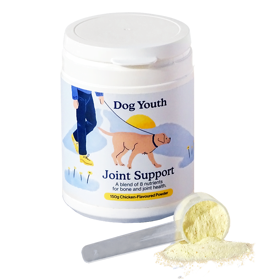 Look Inside - Dog Youth